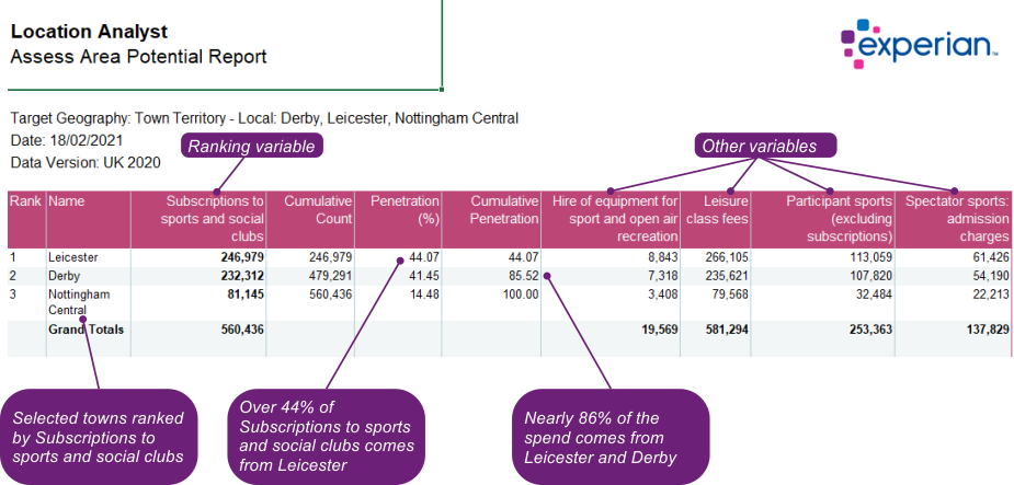 Intrepret an Assess Area Potential report for target town analysis